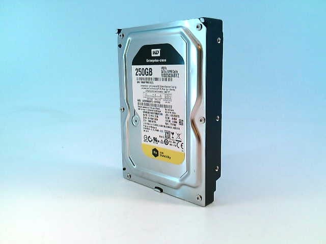 WD2503ABYZ Computer Accessories by WESTERN DIGITAL