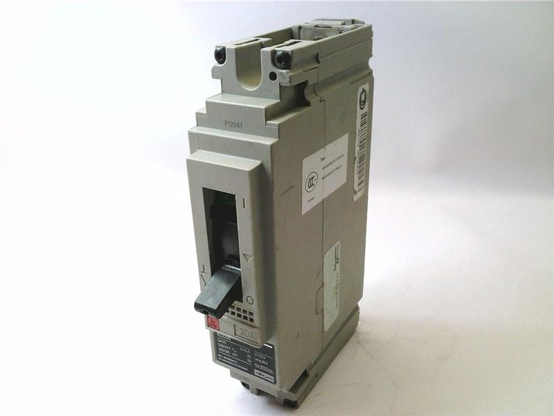NS100N-30A-1P Circuit Breaker Accessories by SCHNEIDER ELECTRIC