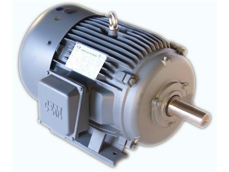 EBF-80L-2-E/002/52 Motors by ELEKTROMOTORENWERK BRIENZ