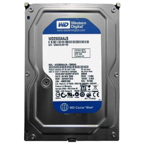 WD2500AAJS-75M0A0 Computer Accessories by WESTERN DIGITAL