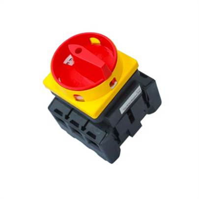 LB225-31309-B33-RDYR - ISOLATOR SWITCH by SALZER