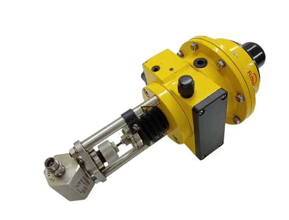 80037-IP Valves by FLOWSERVE